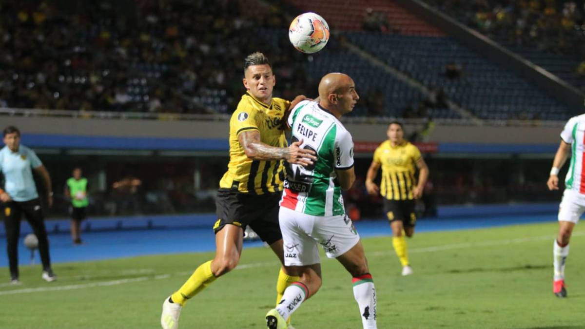 Guaraní 2 - 1 Palestino: goles, resumen y resultados - AS Chile