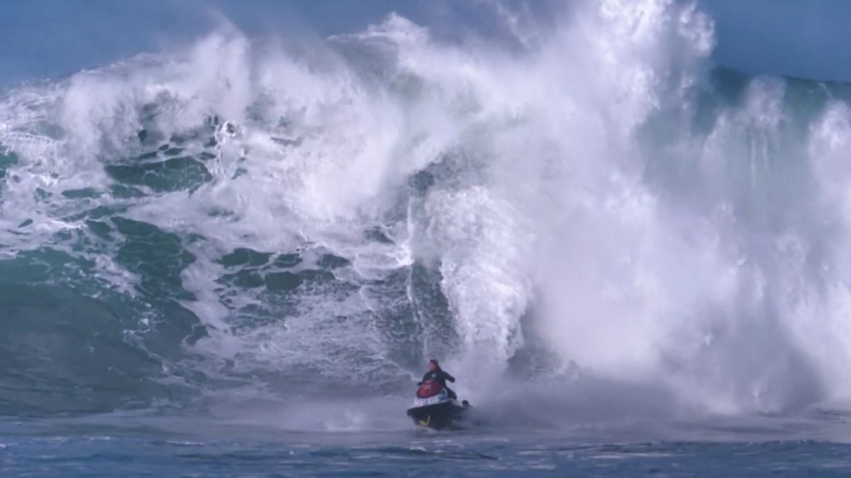 Santander ya espera el despertar de La Vaca Gigante - AS.com