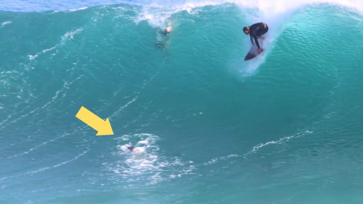 "Poo-shoot": de las peores cosas que le pueden pasar al surfista - AS.com