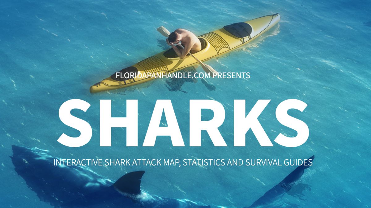 Ataques de tiburón en el mundo: guía interactiva y de supervivencia ...