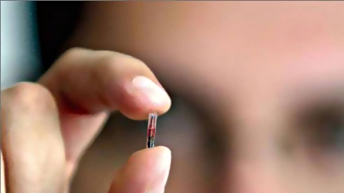 El microchip bajo la piel en el puesto de trabajo ya es una realidad ...
