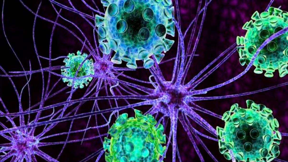 Coronavirus I El CSIC confirma cuándo desapareció la primera cepa del ...