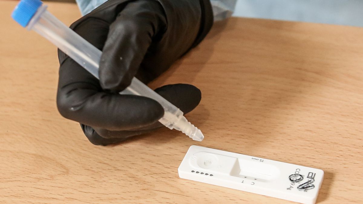 Coronavirus | Test de antígenos: para qué sirve, precio de la prueba y ...