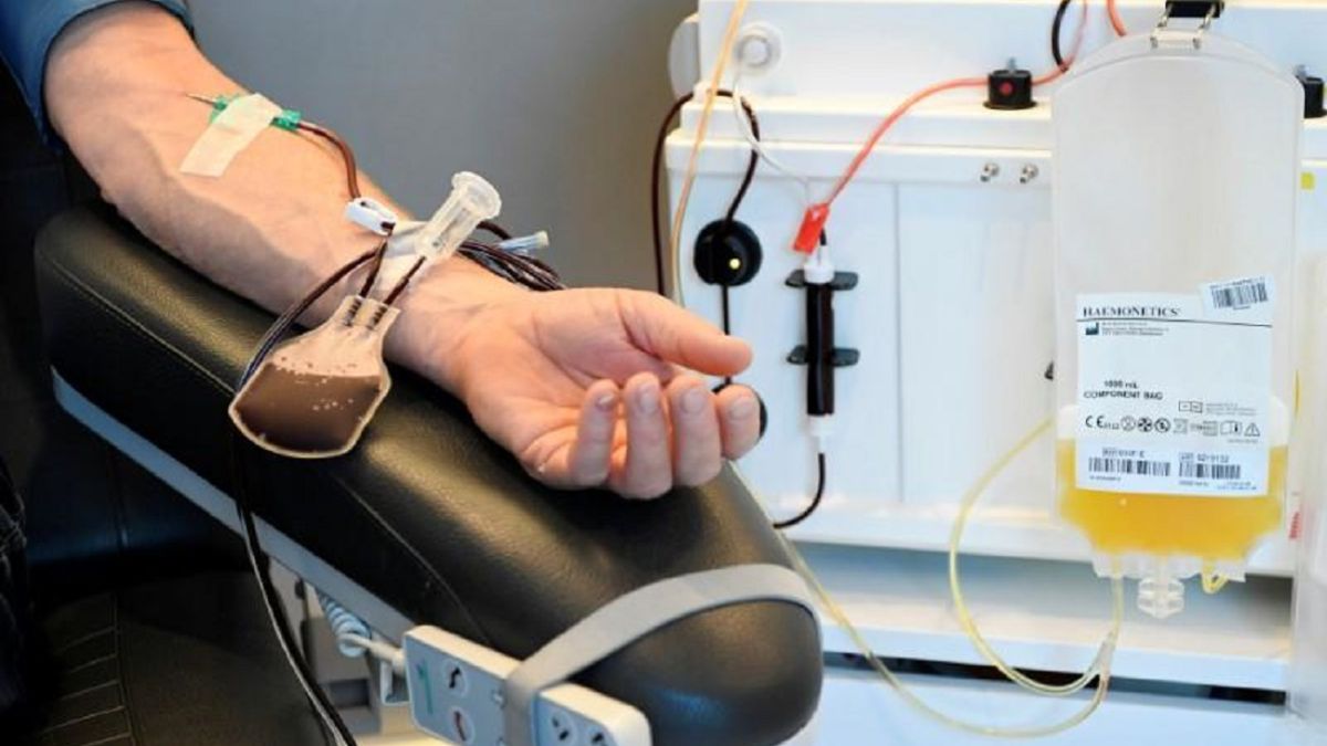 El plasma puede convertir el coronavirus en "un mal catarro" - AS.com