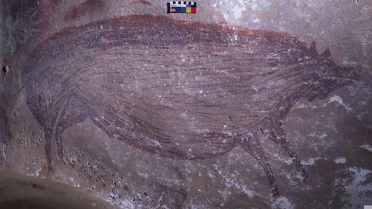 Hallan la obra de arte figurativo más antigua de la historia: un jabalí ...