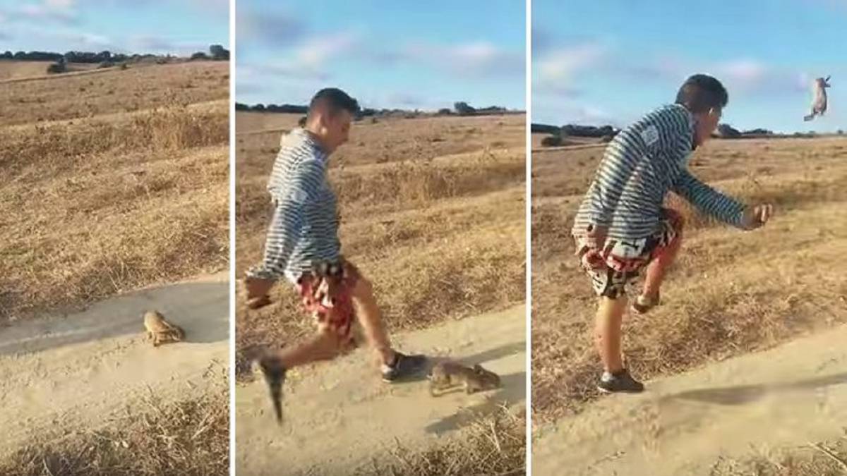 Youtube: Forocoches y la Policía se unen contra un maltratador que ...