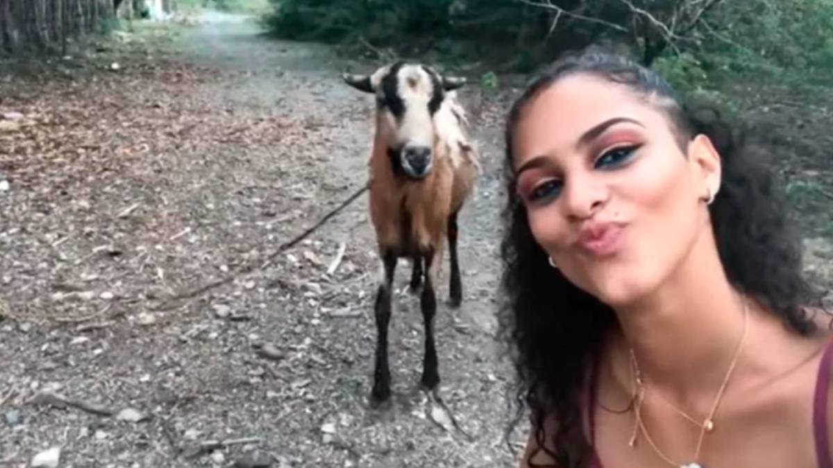 Una joven intenta hacerse un selfie con una cabra.. ¡Y su reacción no ...