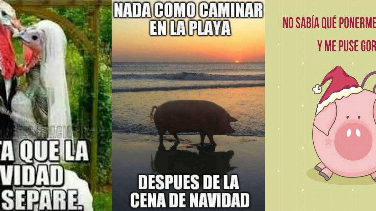 Los memes más divertidos sobre la Navidad y las cenas familiares - AS.com