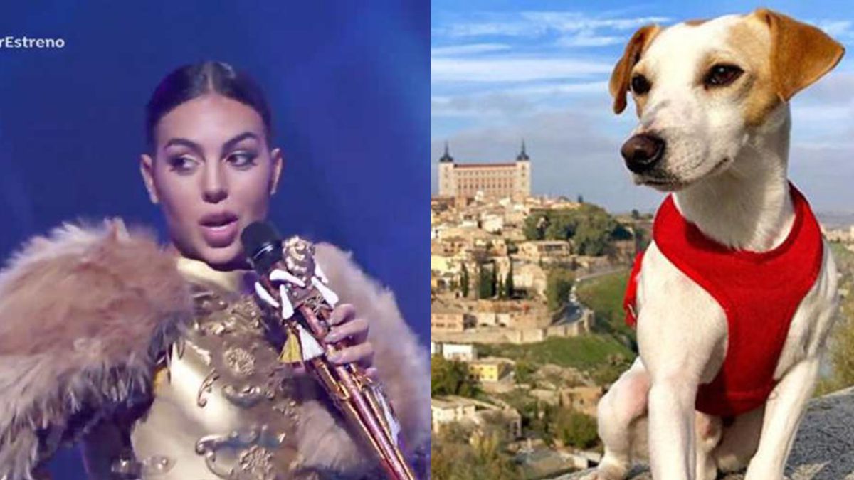 Lo más visto en redes: desde Georgina en ‘Mask Singer’ al primer perro ...