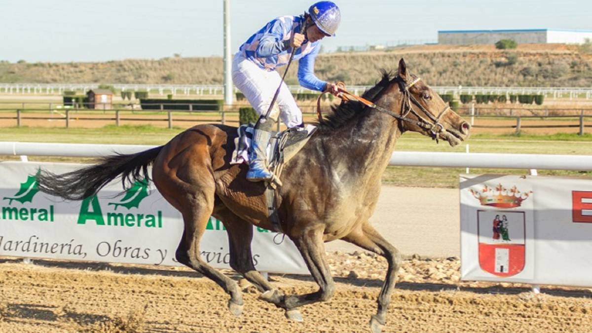Turf Khalaas, caballo a batir en tierra conquistada; Celestial Lad, el ...
