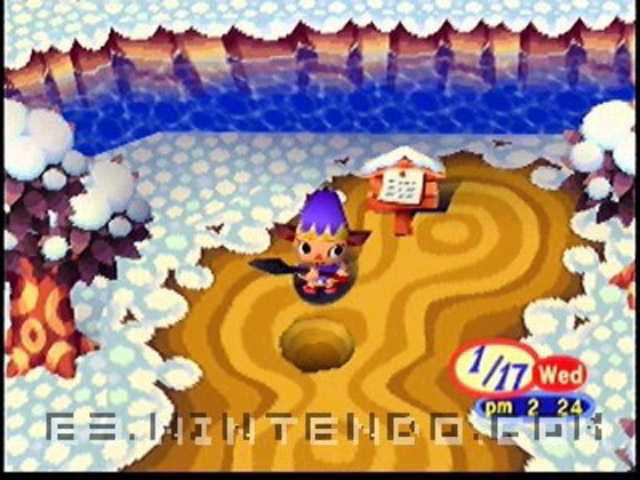Animal Forest Plus (GameCube) - MeriStation