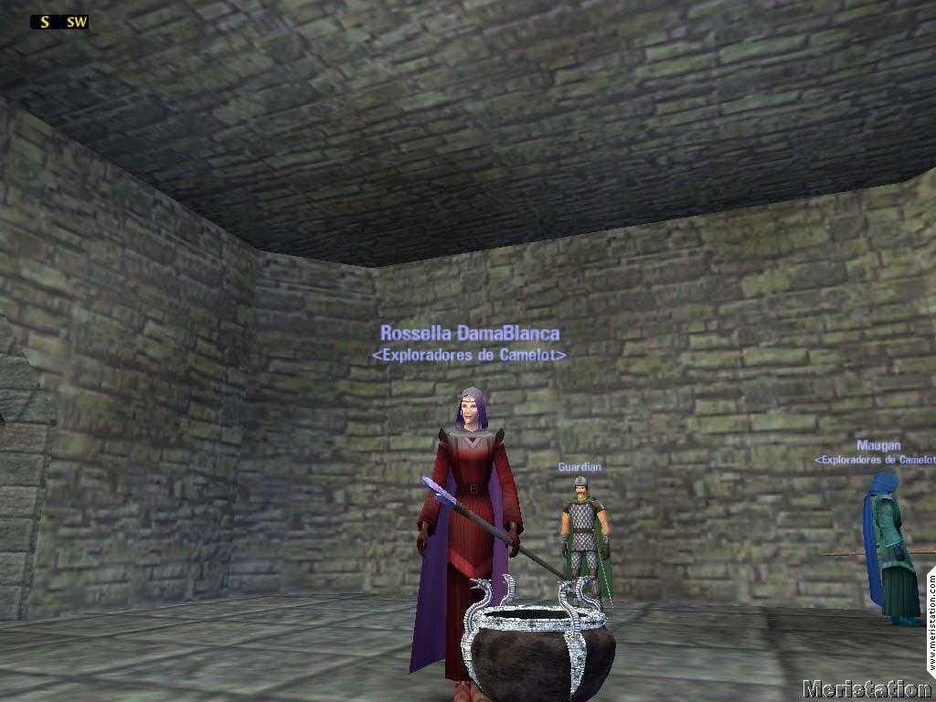 Dark Age of Camelot - Guilds de Hibernia - MeriStation