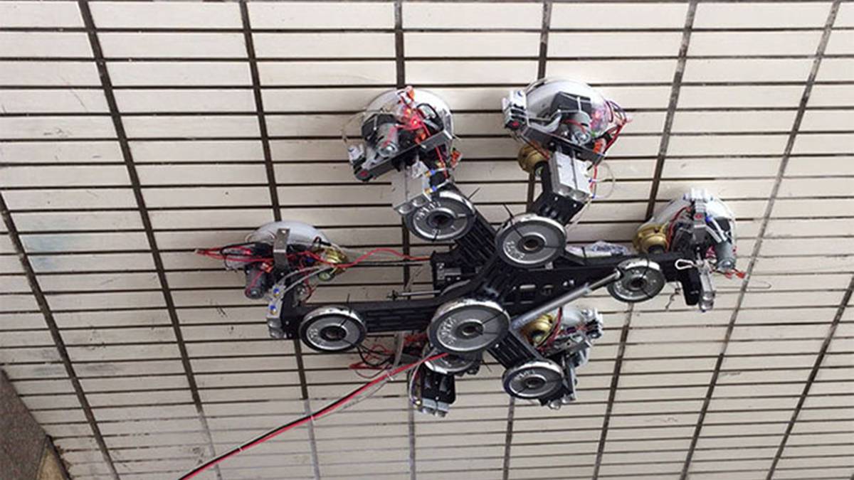 Así es el robot capaz de elevarte por una pared - AS.com