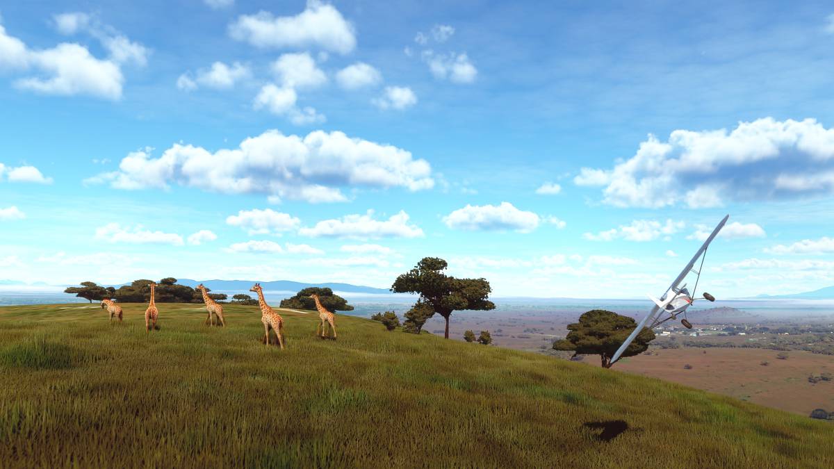 Microsoft Flight Simulator: un usuario capta la fauna en movimiento ...
