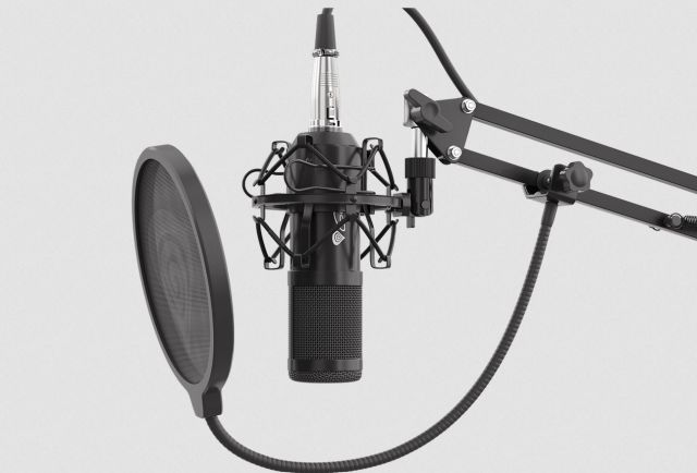 Radium 300 XLR, un micrófono de alta calidad a un precio imbatible ...