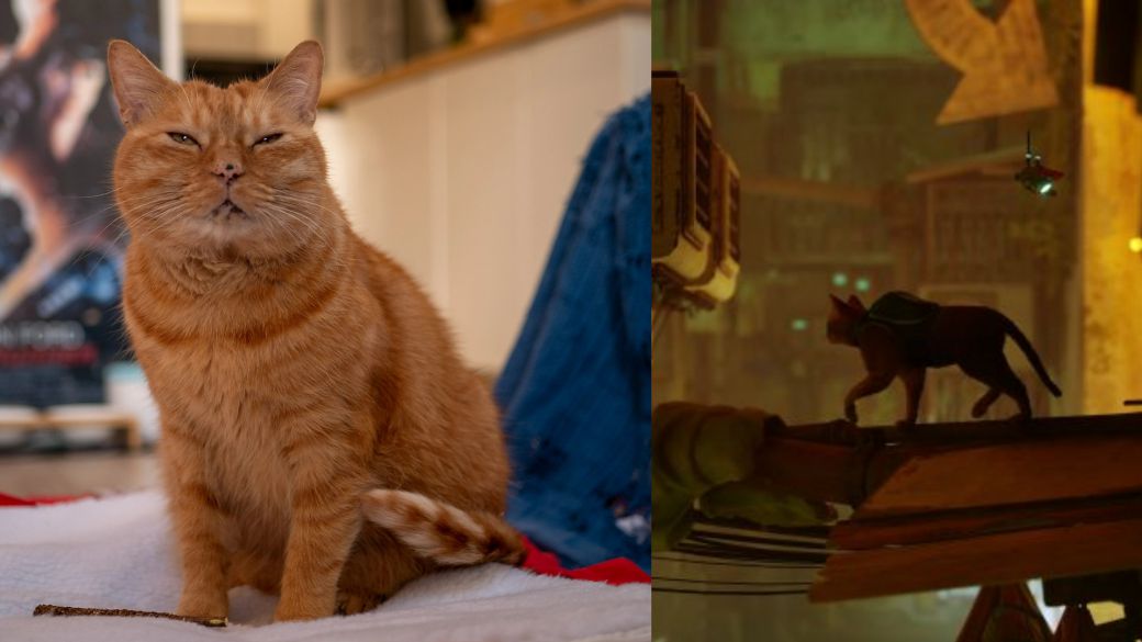 Stray nos presenta a Murtaugh, el gato adoptado que inspiró a los ...