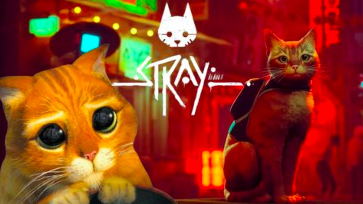¿Habrá Stray 2? ¿Cuántos finales tiene Stray? Final explicado - MeriStation
