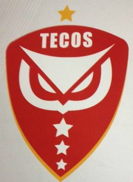 Futbol Los Tecos regresan al fútbol profesional - AS México