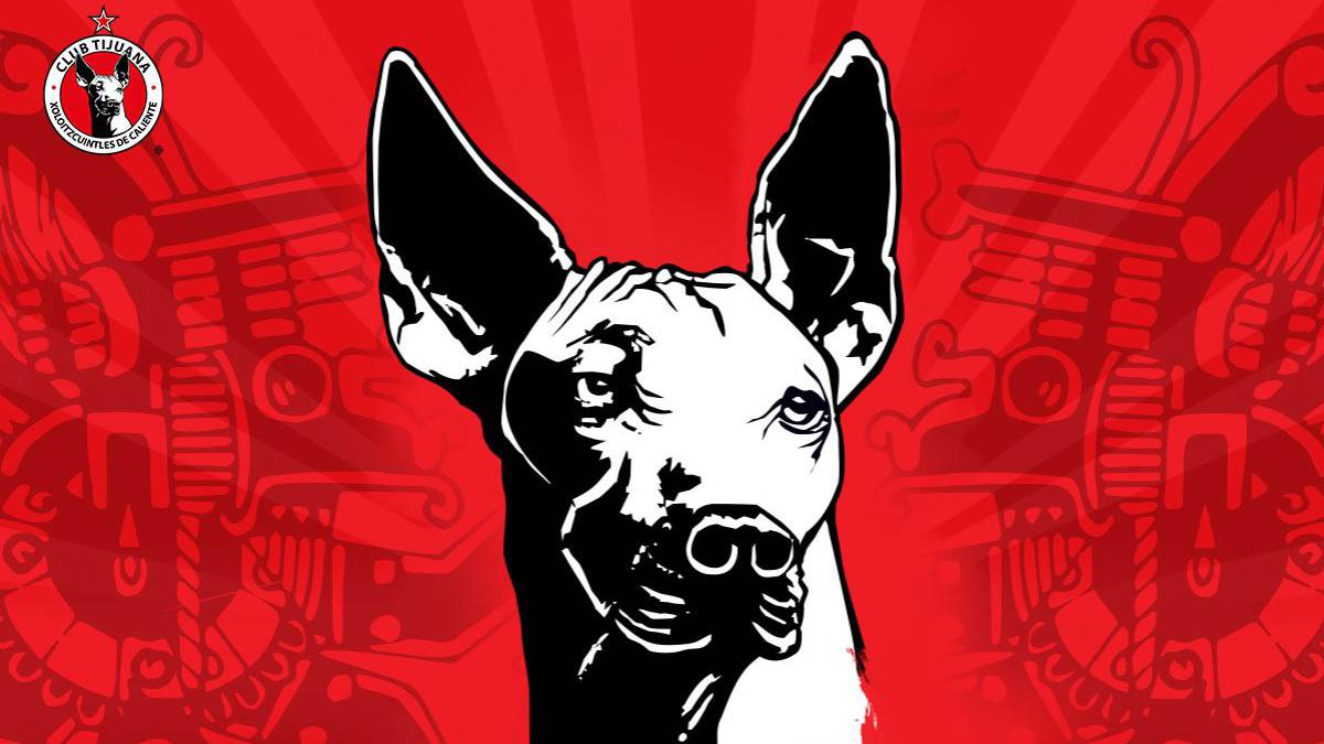 Hoy cumplen 12 años el Club Xoloitzcuintles de Tijuana - AS México